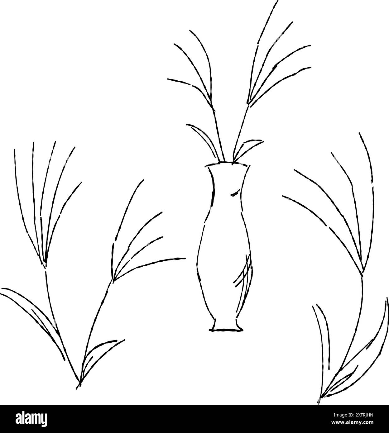 Silver grass line drawing illustration, variety set Stock Vector Image ...