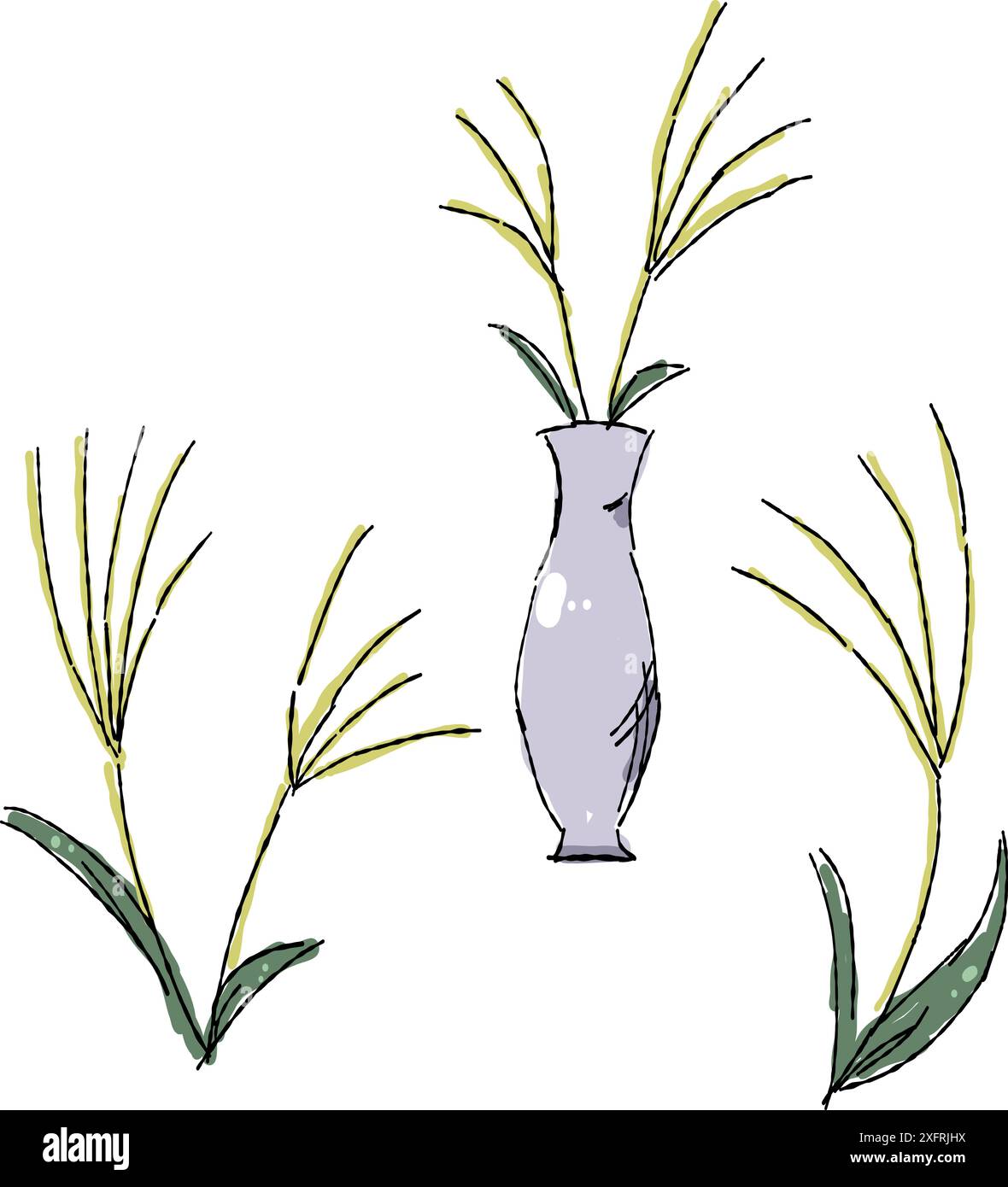 Silver grass freehand drawing illustration, variety set Stock Vector ...