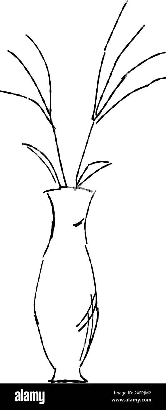 Line drawing illustration of the silver grass which entered the vase ...