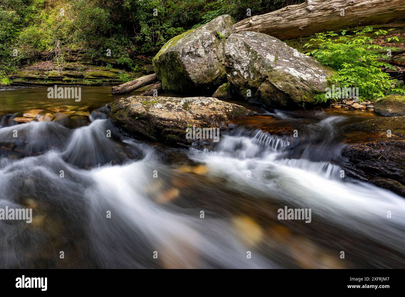 Cascade on Looking Glass Creek - Pisgah National Forest, near Brevard ...