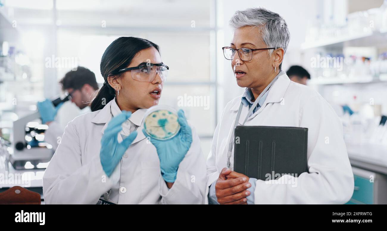 Science, people and discussion with petri dish in laboratory for ...