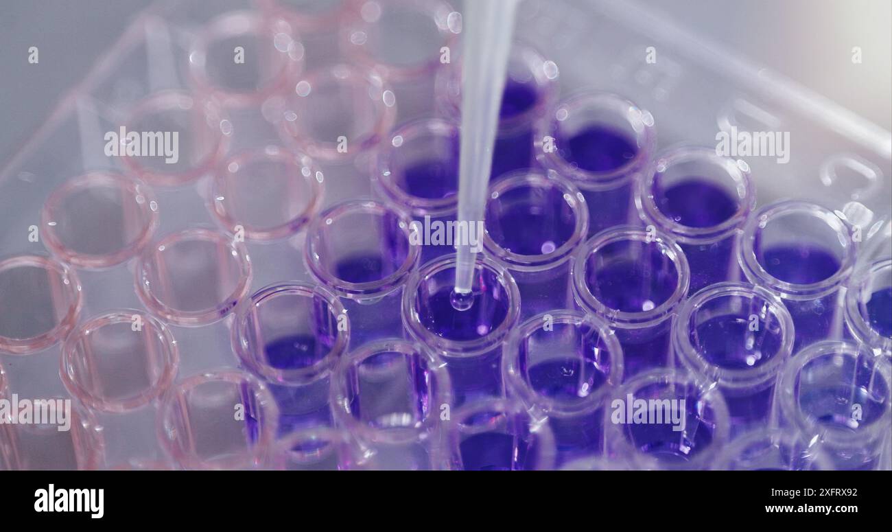 Pipette, liquid and test tube in laboratory for science experiment ...