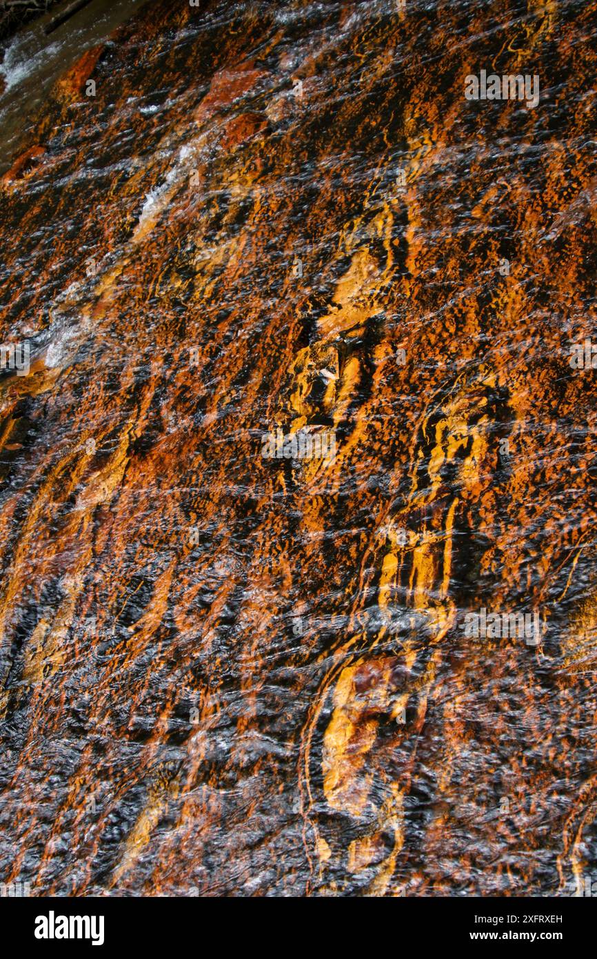Paru river hi-res stock photography and images - Alamy
