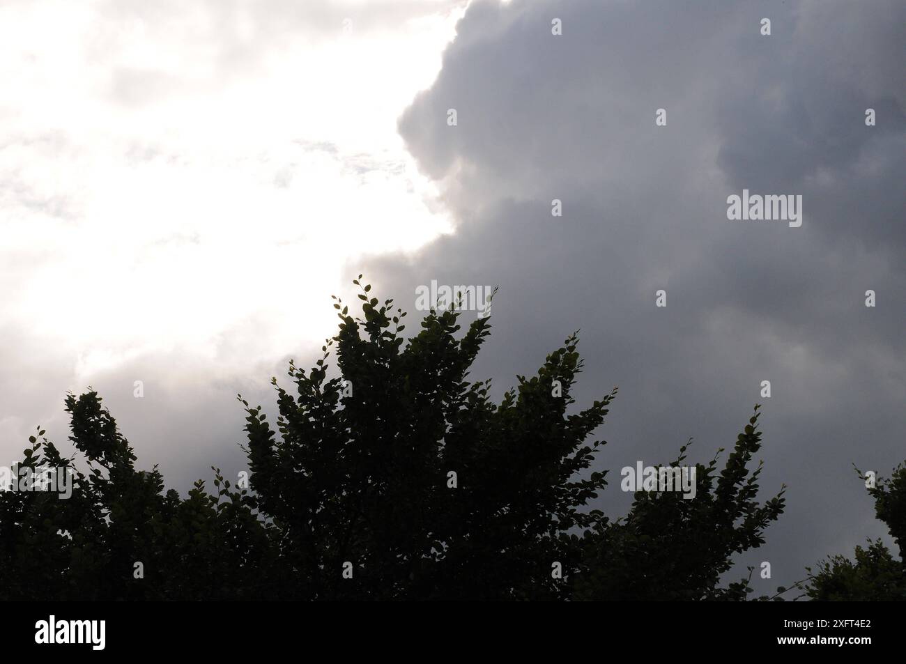 Copenhagen/ Denmark/05 July 2024/Mix weather over Kastrup danish ...