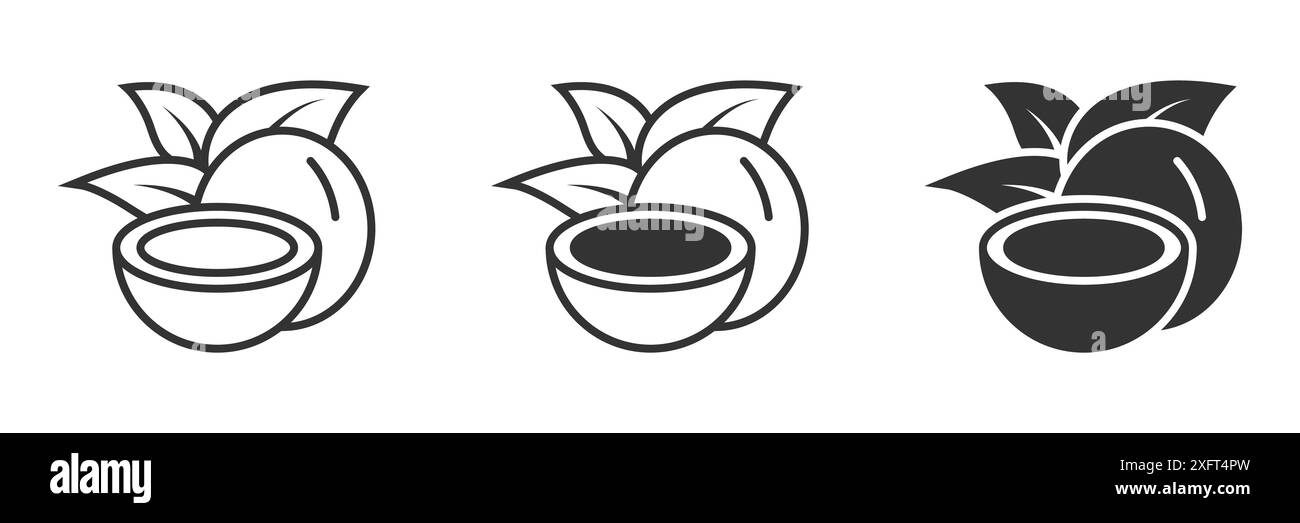 Coconut icon isolated on a white background. Vector illustration Stock ...