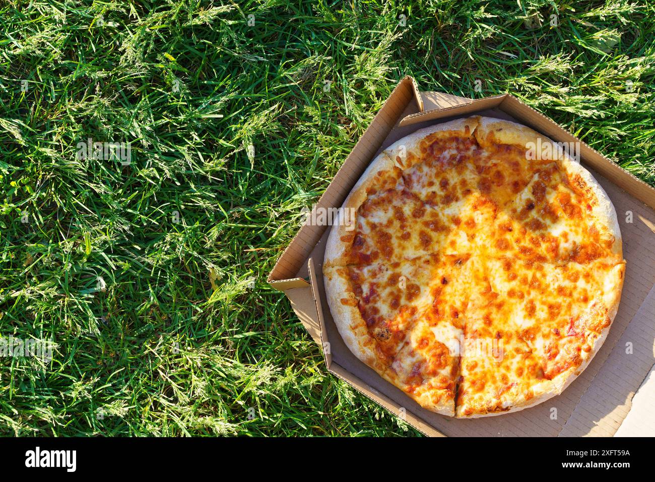 Pizza on the grass background. Takeaway pizza at a summer picnic in the ...