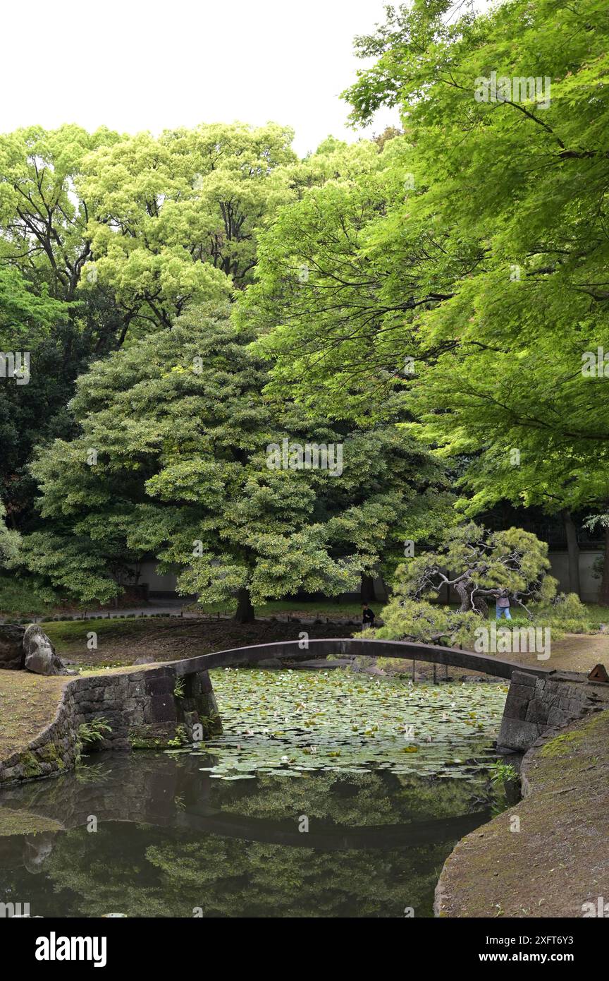 Tokyo street sight view and atmosphere. April 30th 2024 FAMA © Fausto ...