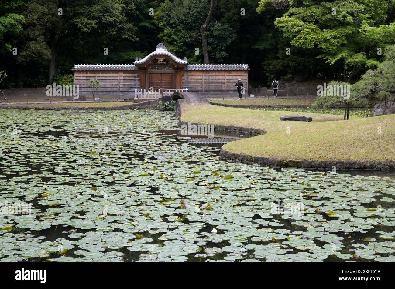 Tokyo street sight view and atmosphere. April 30th 2024 FAMA © Fausto ...
