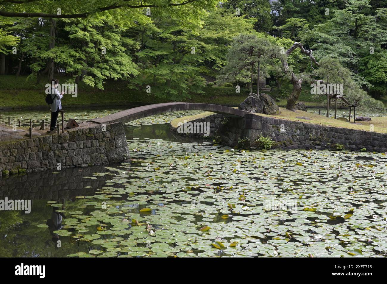 Tokyo street sight view and atmosphere. April 30th 2024 FAMA © Fausto ...