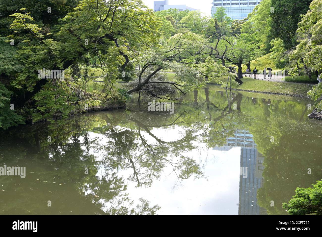 Tokyo street sight view and atmosphere. April 30th 2024 FAMA © Fausto ...