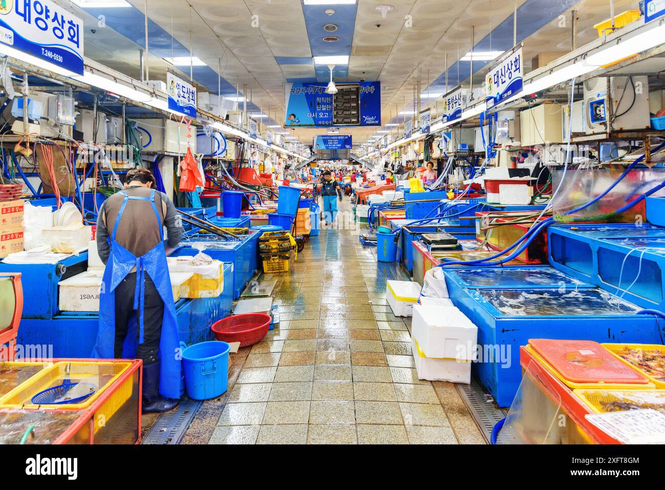 Busan, South Korea - October 7, 2017: Amazing view of Jagalchi Fish ...