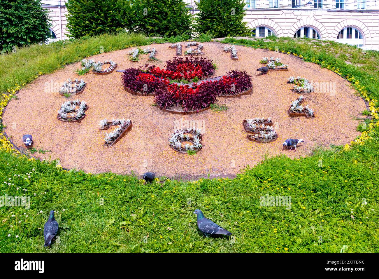 Flower bed in shape of clock. Walking pigeons Stock Photo - Alamy