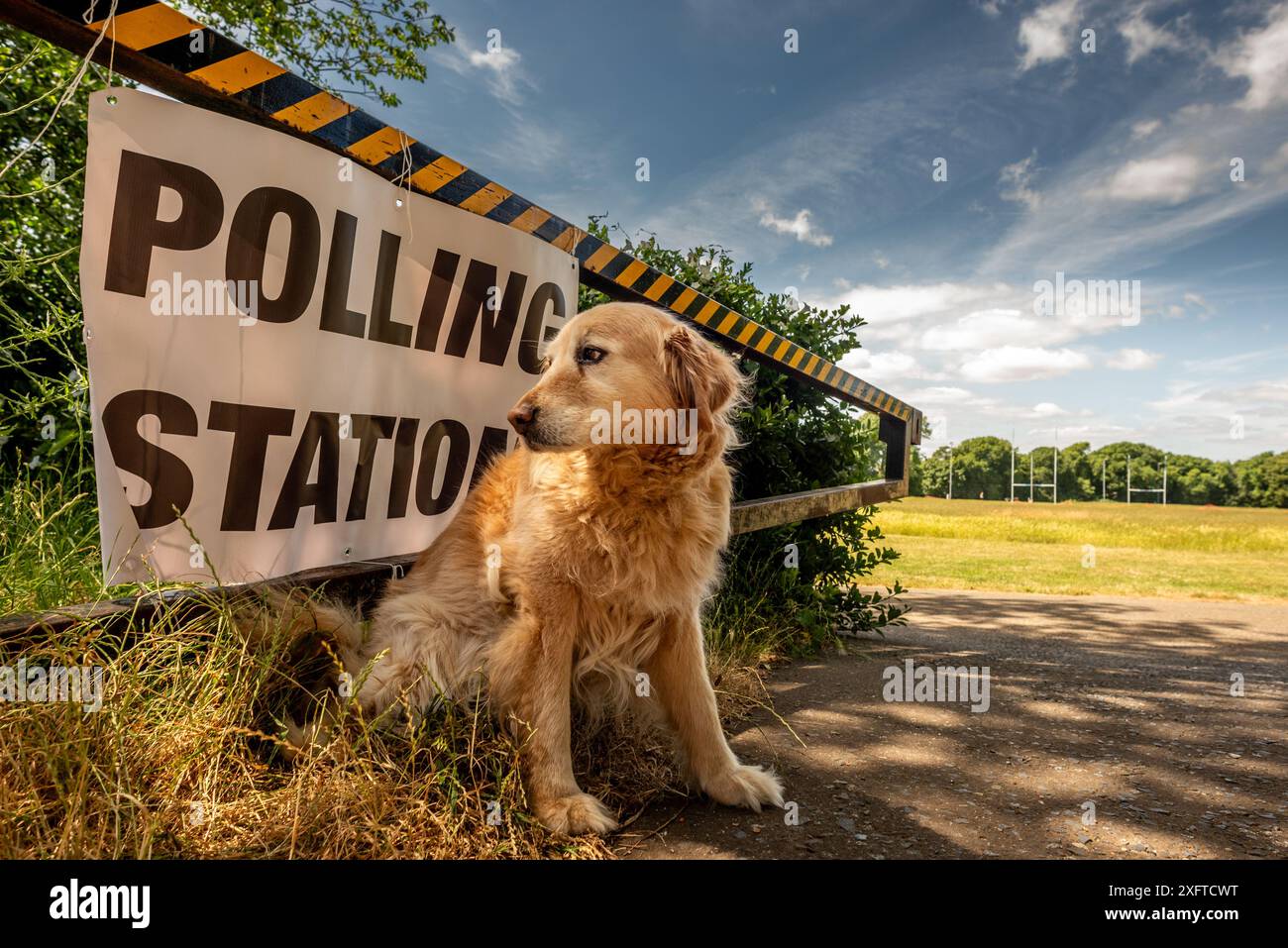 Brighton, July 4th 2024: Dogs on General Election day in Brighton and ...