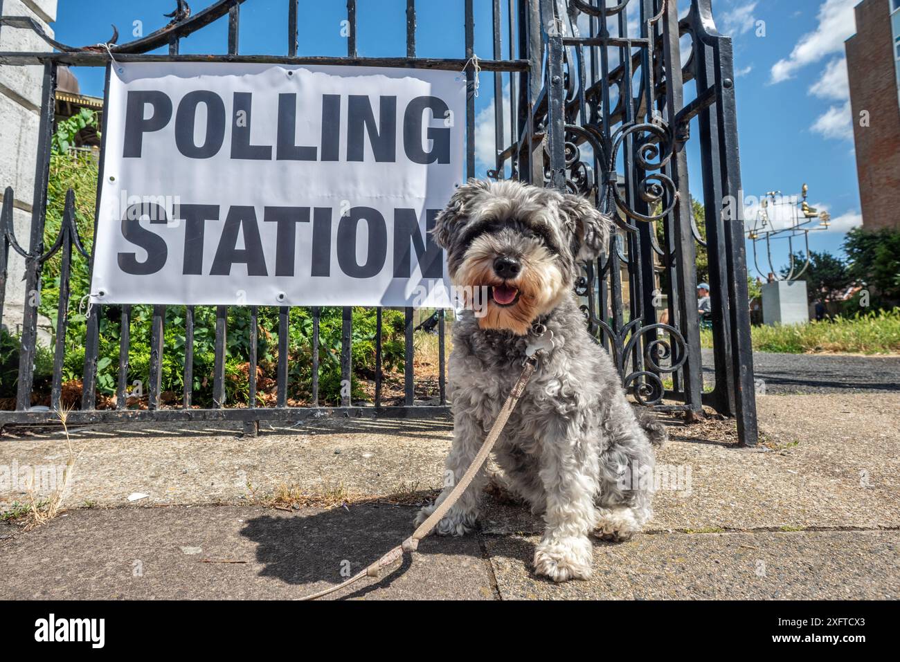 Brighton, July 4th 2024: Dogs on General Election day in Brighton and ...