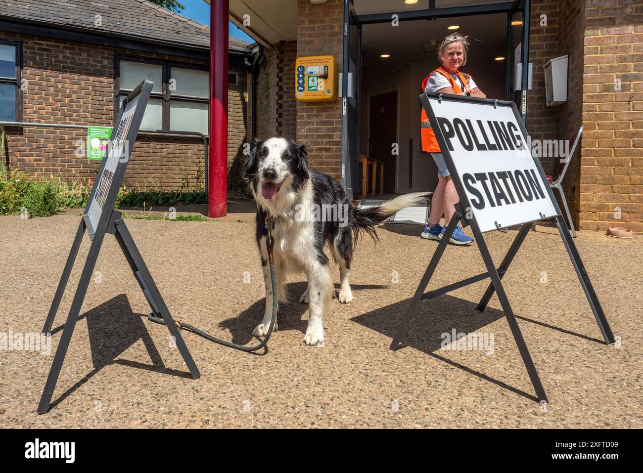 Brighton, July 4th 2024: Dogs on General Election day in Brighton and ...