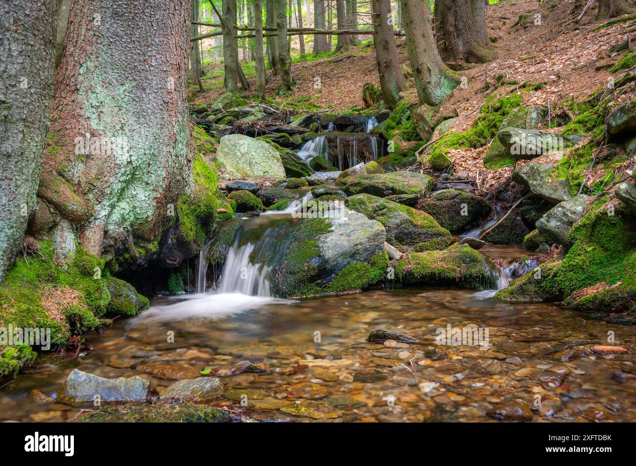 Object falling water making hi-res stock photography and images - Alamy