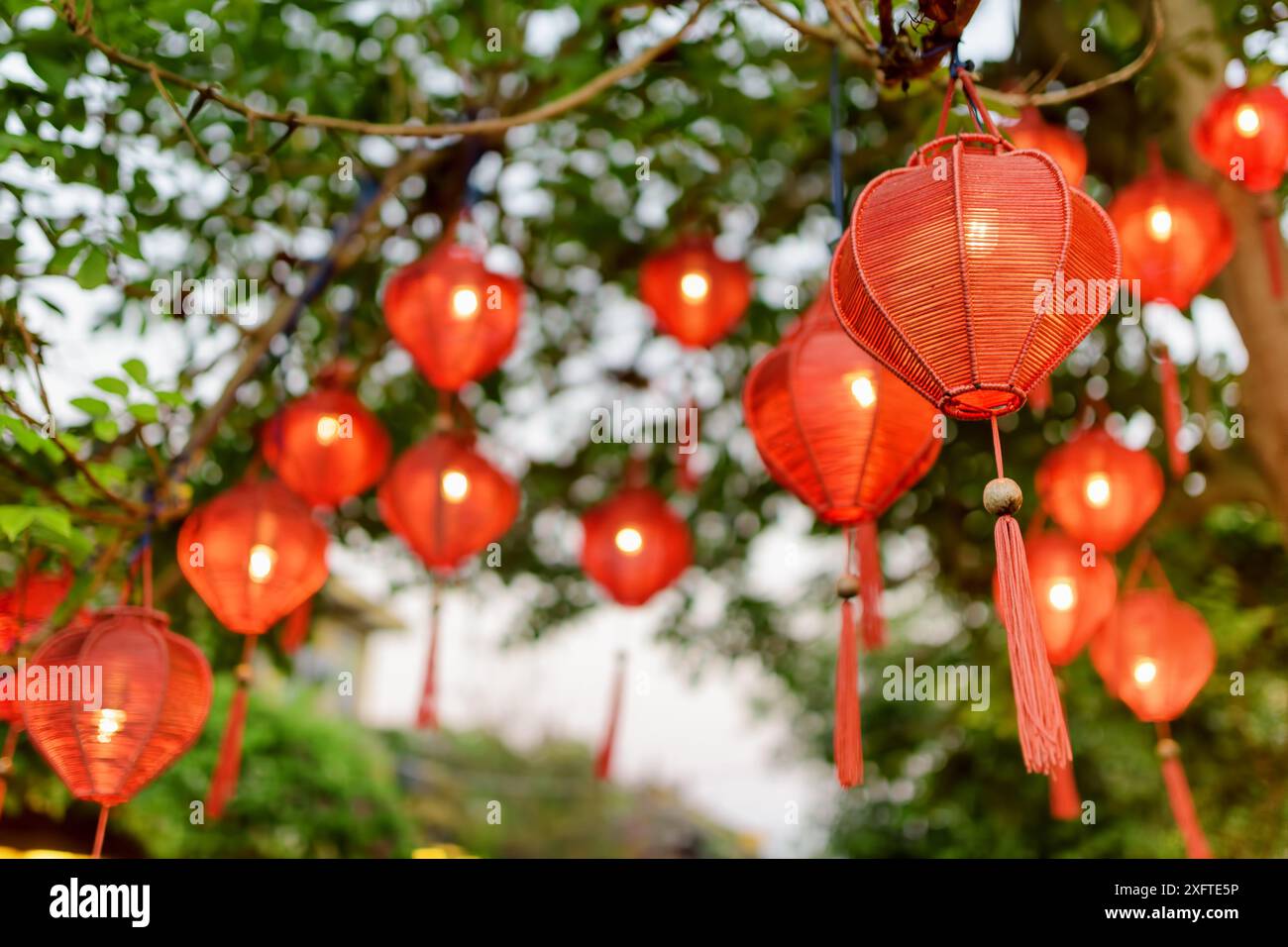 Amazing evening view of green tree decorated with traditional red ...
