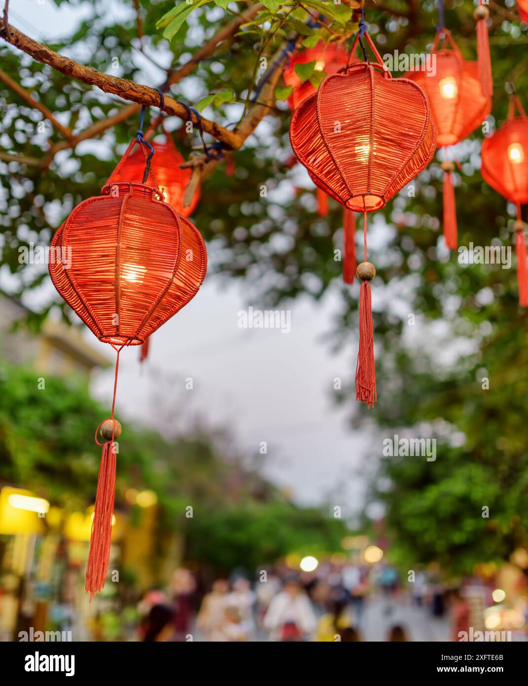 Amazing evening view of green tree decorated with traditional red ...