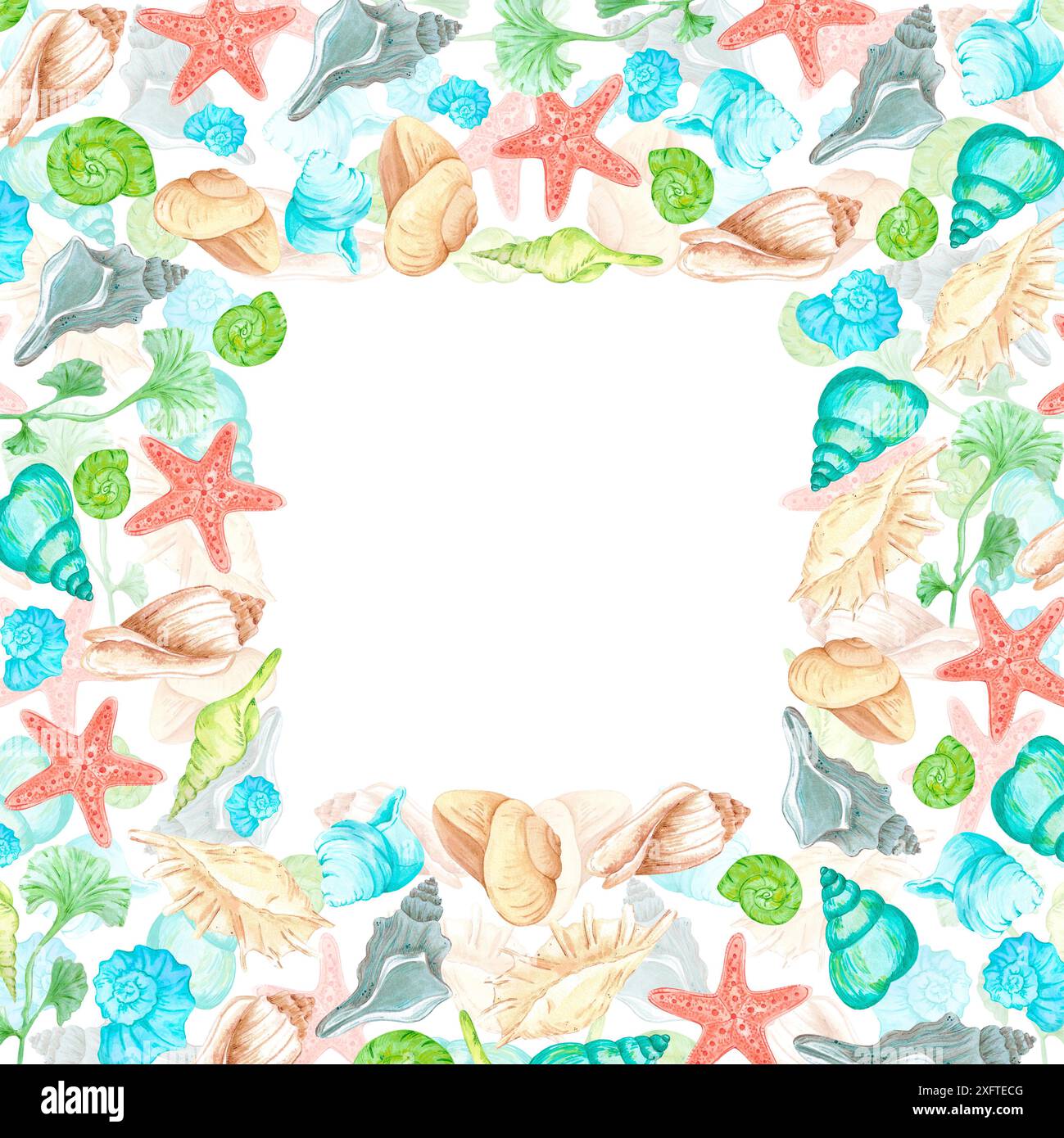 Hand drawn watercolor seashells frame border isolated on white ...