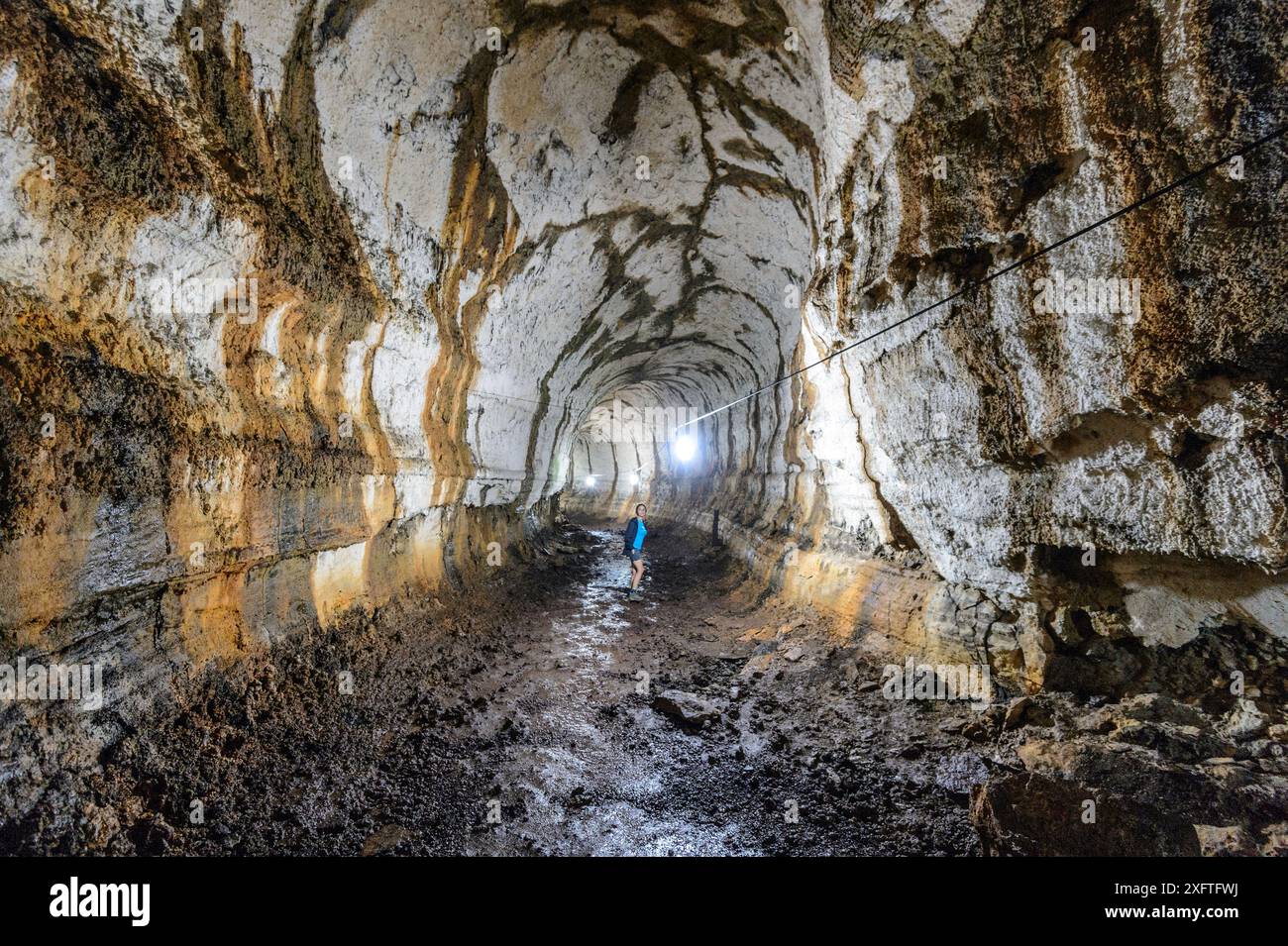 Tourist explores a lava tube beneath Santa Cruz Island, Galapagos ...