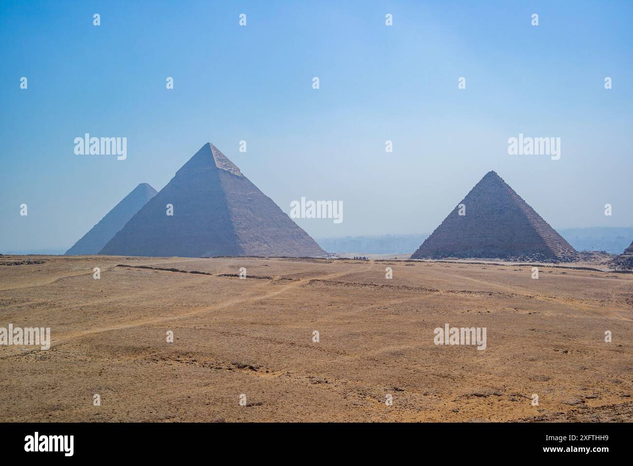 Caravan and the pyramid in cairo hi-res stock photography and images ...