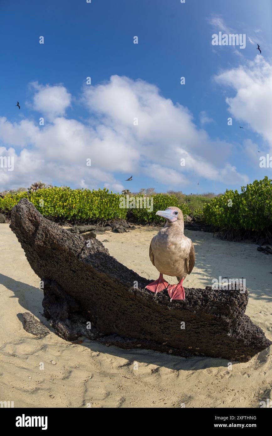 Volcanic hotspot volcanic hotspots hi-res stock photography and images ...