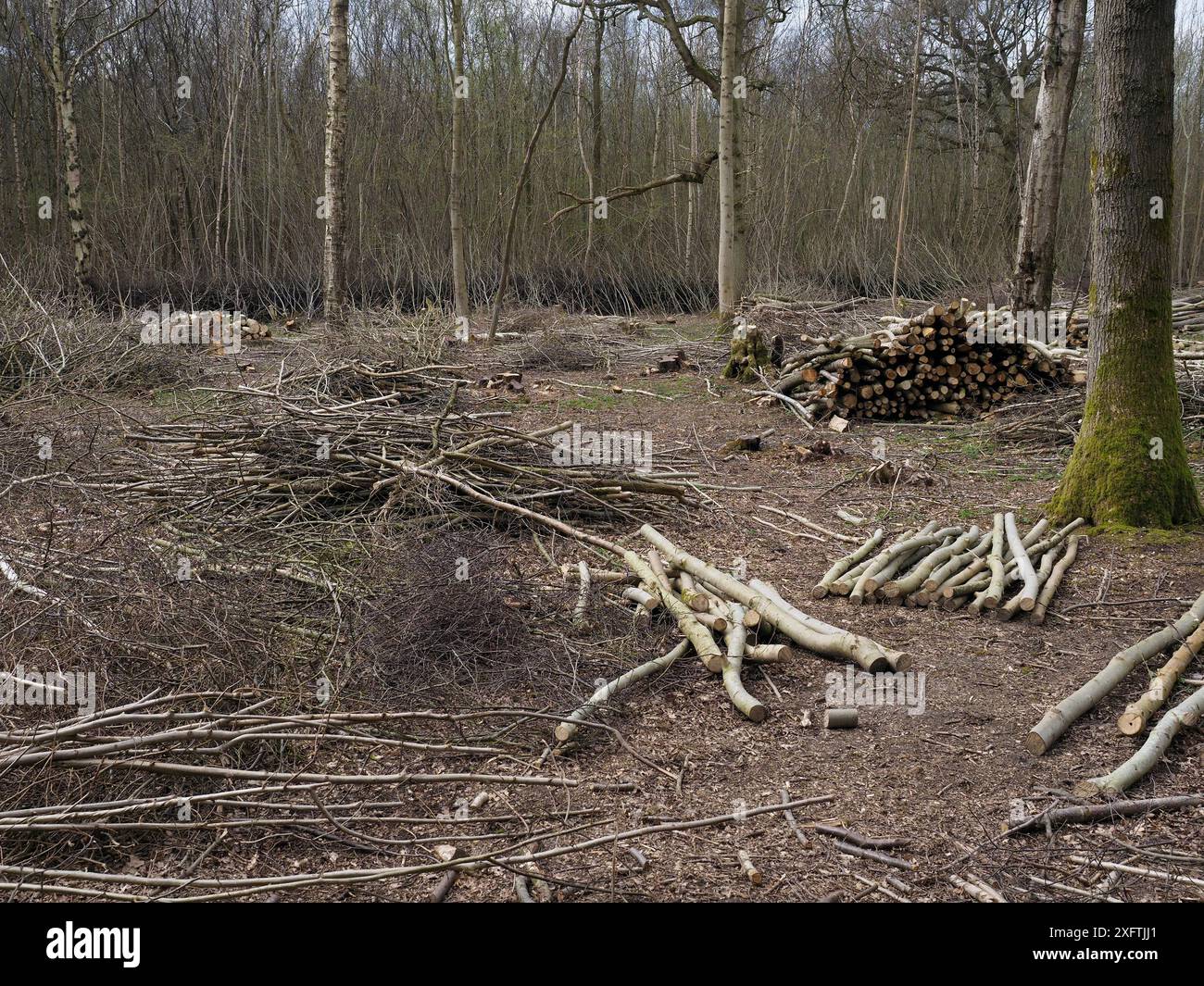 Traditional fencing hi-res stock photography and images - Alamy