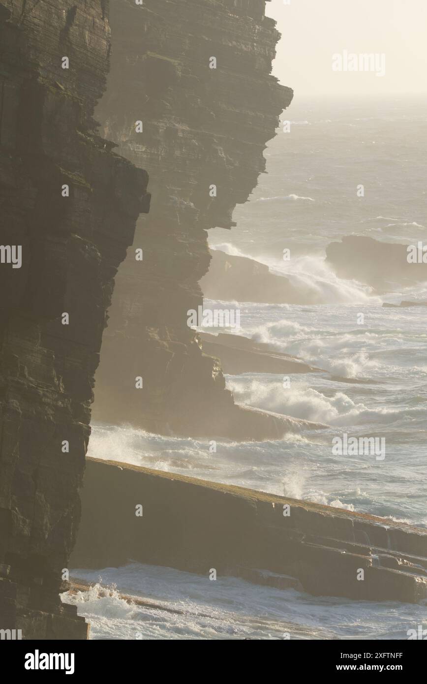 Sea cliffs at Birsay, Orkney Islands Stock Photo - Alamy