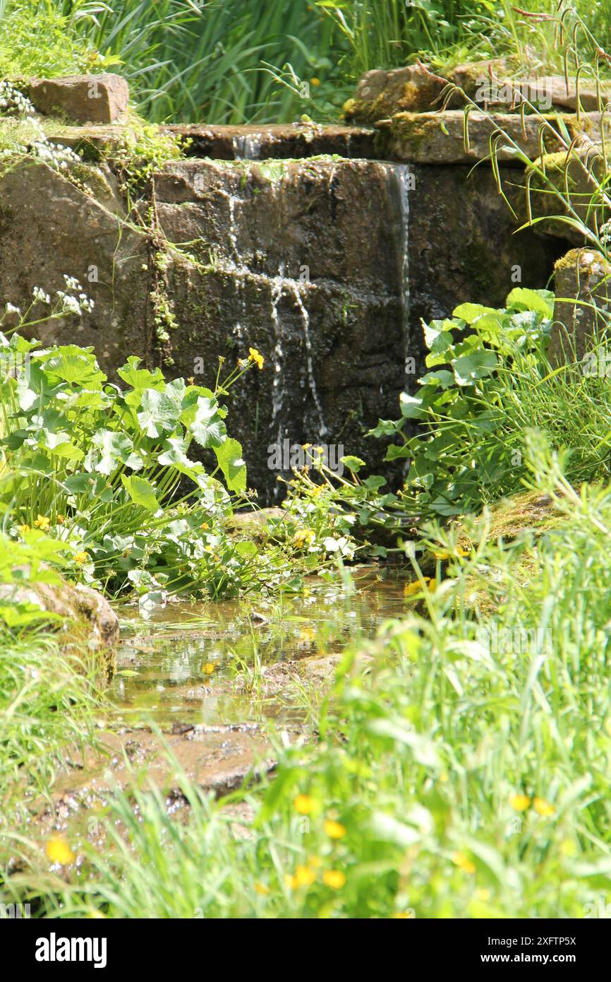 A Gentle Water Flow Over a Stone Garden Waterfall Stock Photo - Alamy