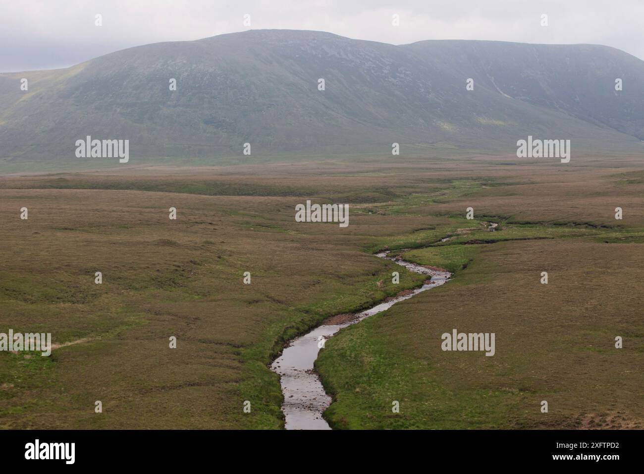 River Owenduff flowing though a blanket bog habitat, Republic of ...