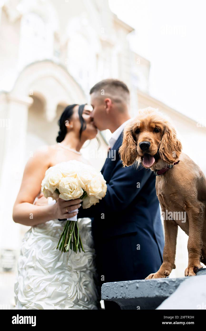 The wedding couple with their pet spaniel. Honeymooners with a dog ...