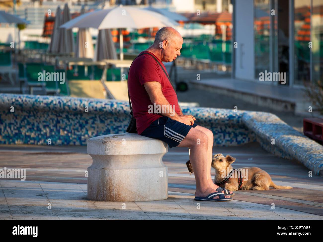 Elderly man sadly sitting with dog on seaside bench Stock Photo - Alamy