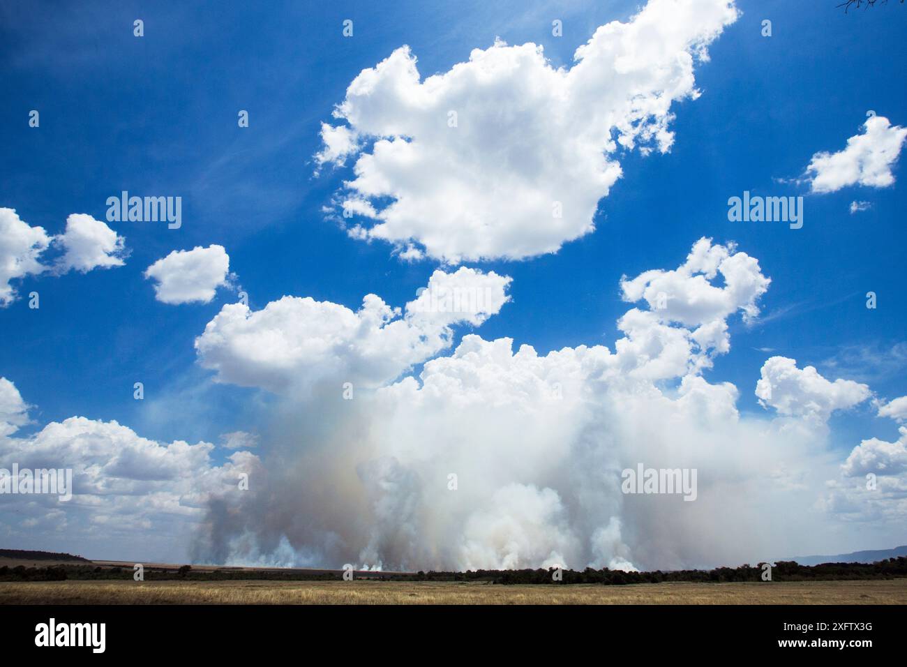 Grass fires in the distance, Masai Mara National Reserve, Kenya ...
