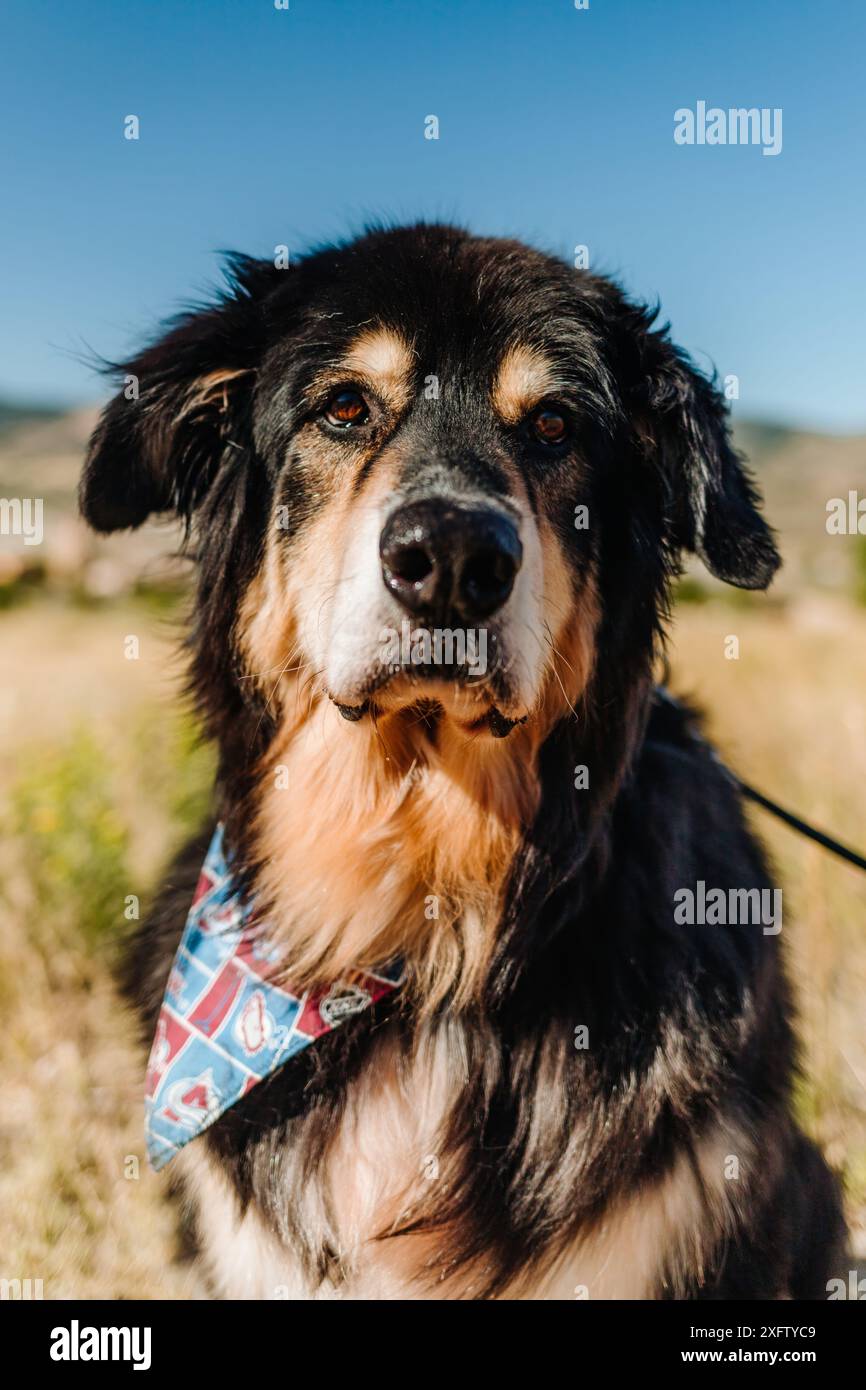 Soft mix hi-res stock photography and images - Alamy