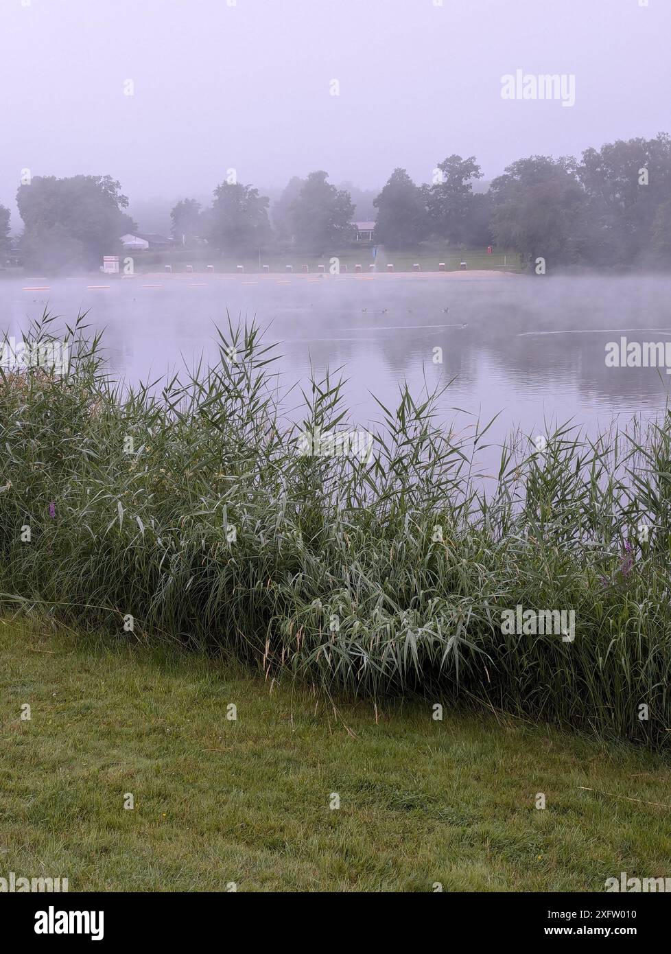 Weed sky horizon hi-res stock photography and images - Alamy
