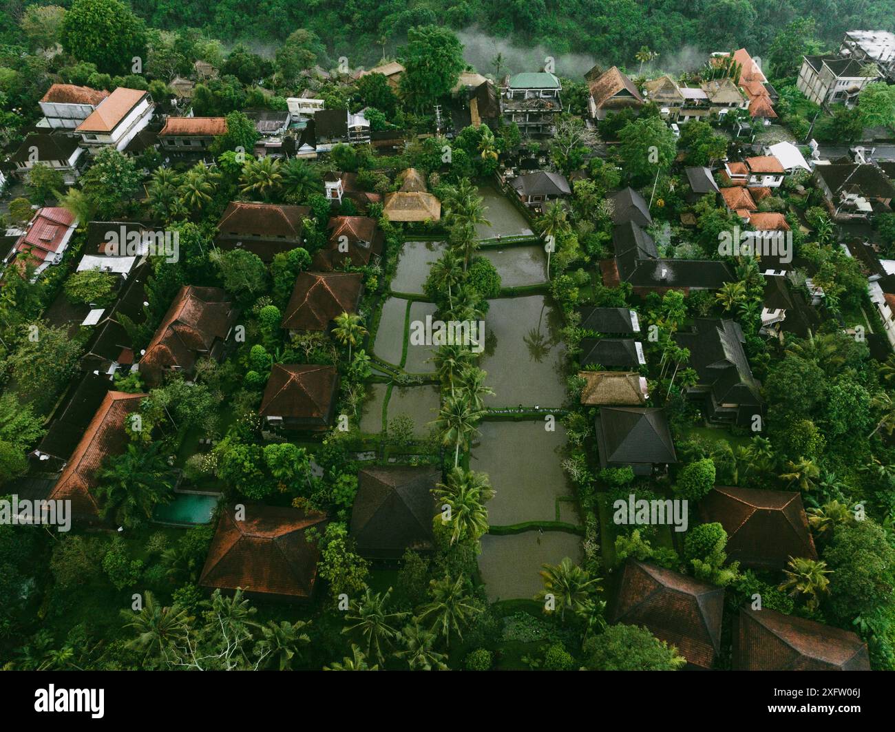 Ubud view hi-res stock photography and images - Alamy