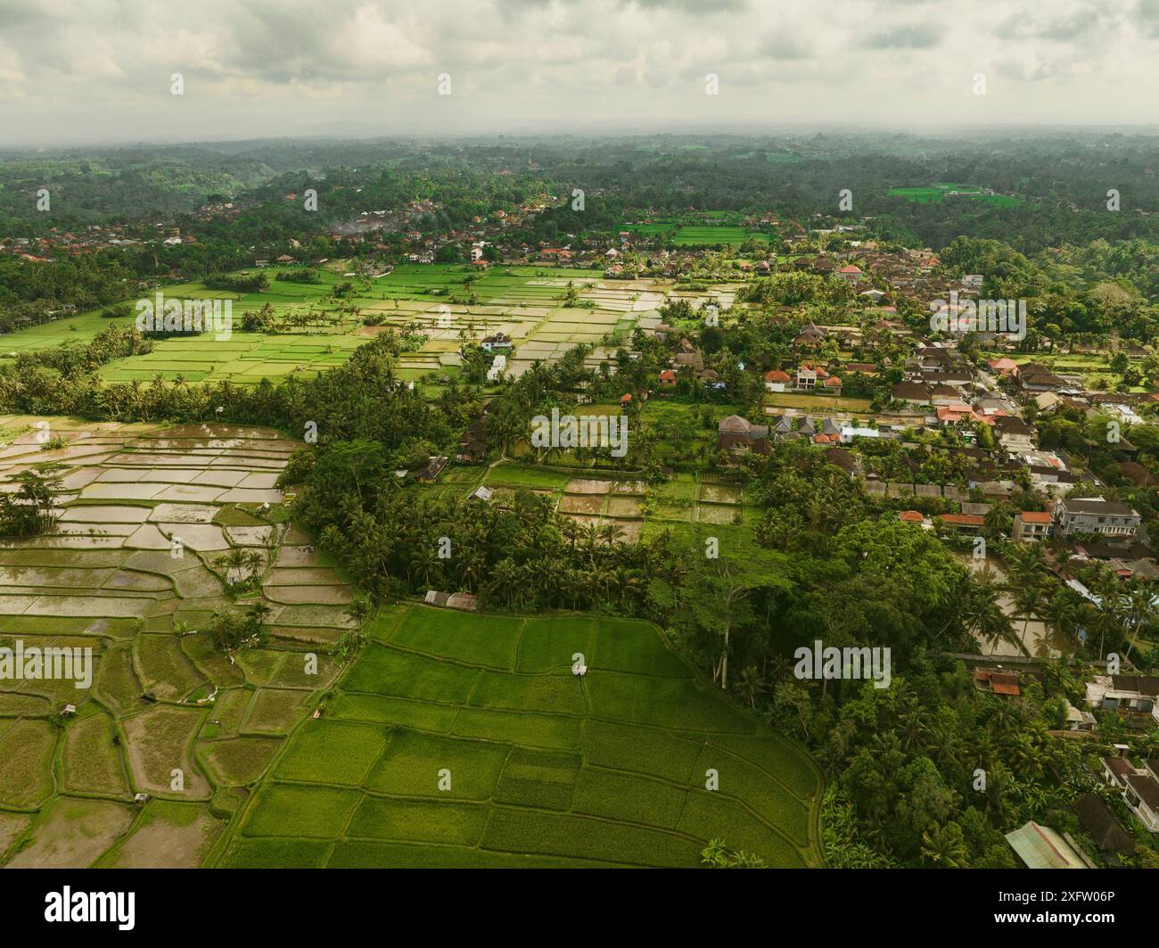 drone view of Ubud, Indonesia Stock Photo - Alamy