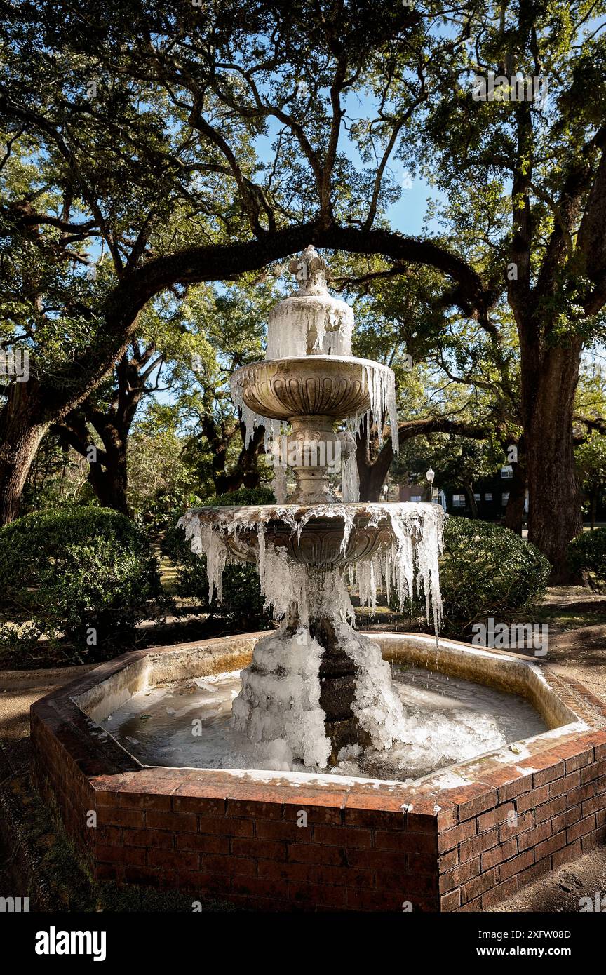Frozen fountain in a park surrounded by oak trees and shrubs Stock ...
