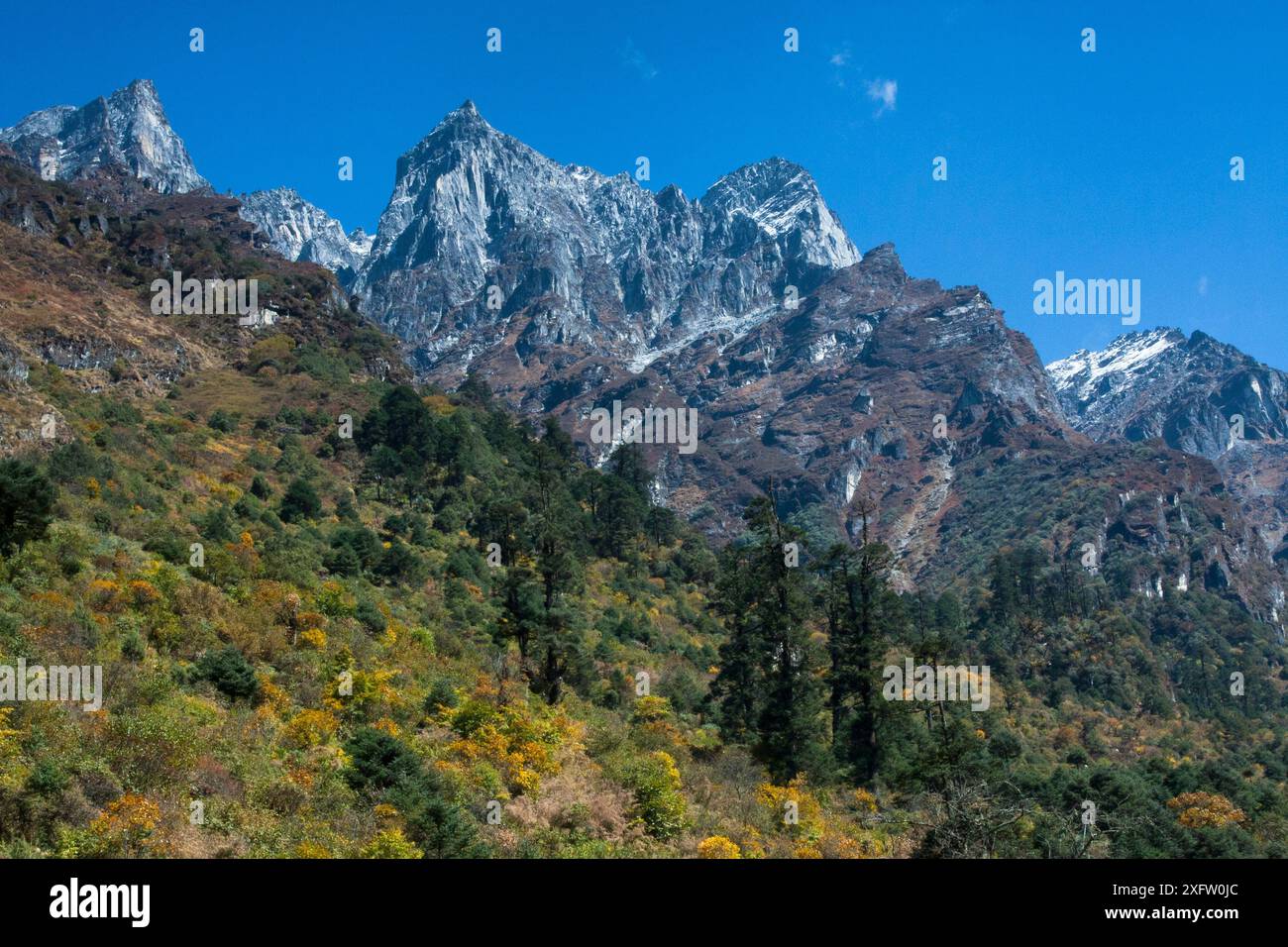 Mountains with forest, Sikkim, India. October 2008 Stock Photo - Alamy