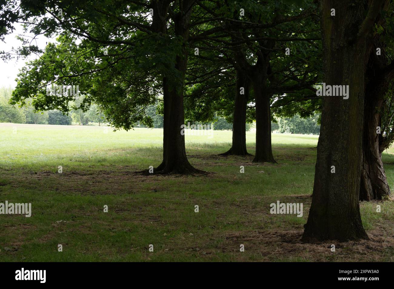 The whitley hi-res stock photography and images - Alamy