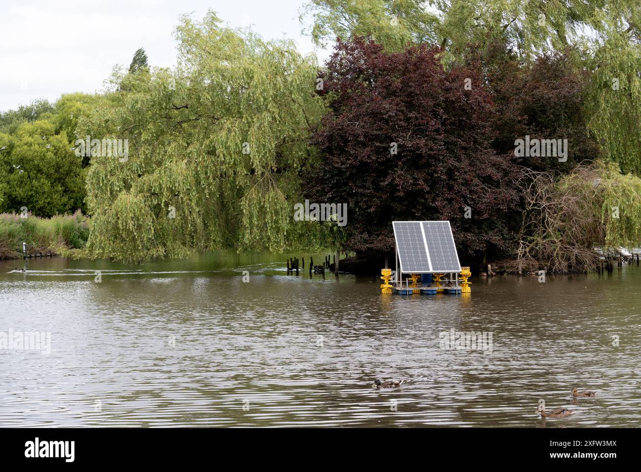 Cheylesmore coventry park lake pond hi-res stock photography and images ...