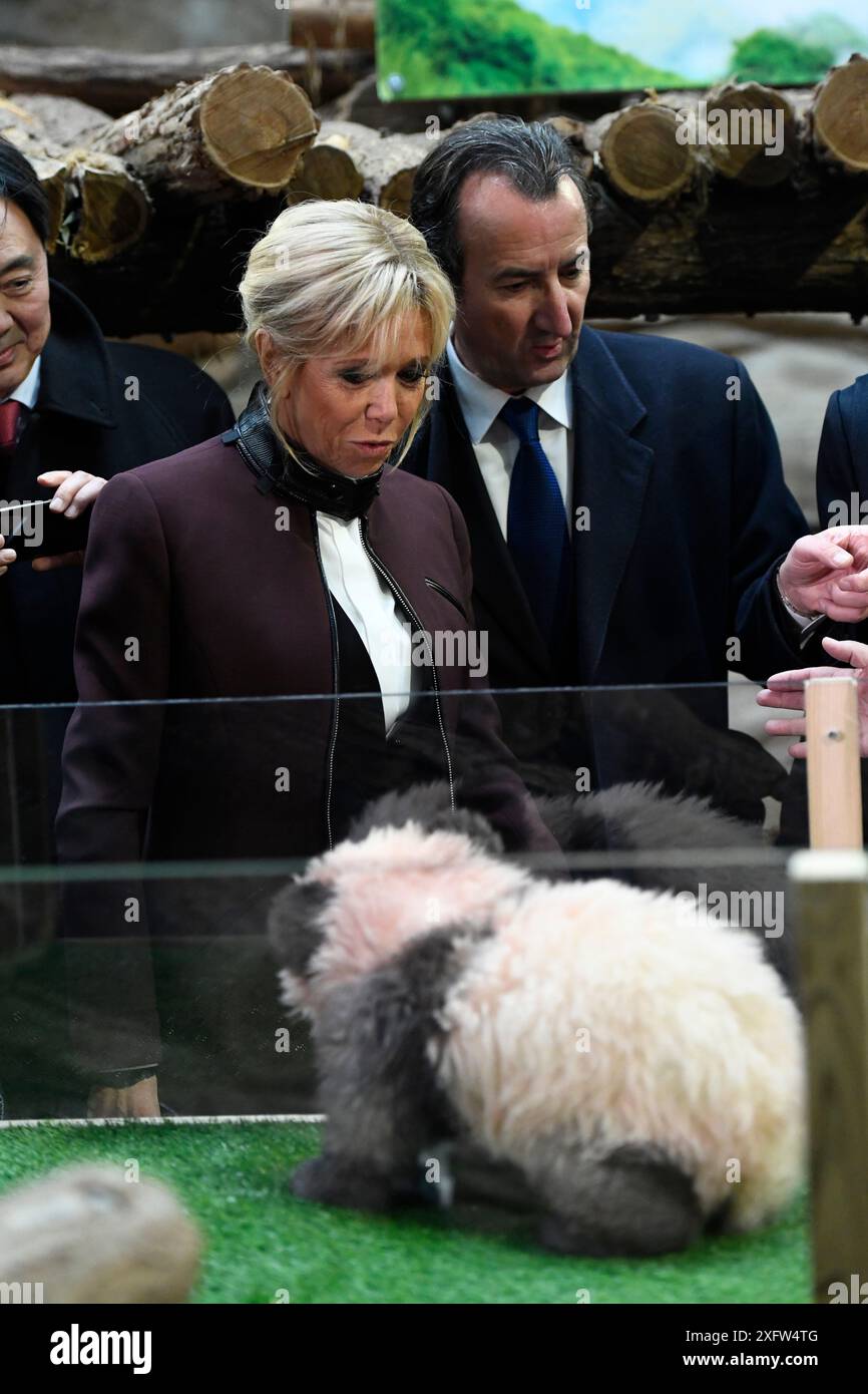 Brigitte Macron, wife of the French president, looking at panda cub ...