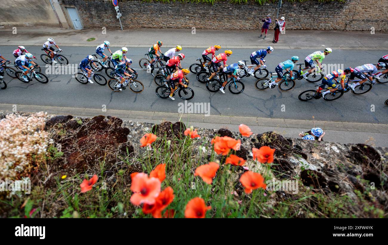 Concentrated peloton hi-res stock photography and images - Alamy