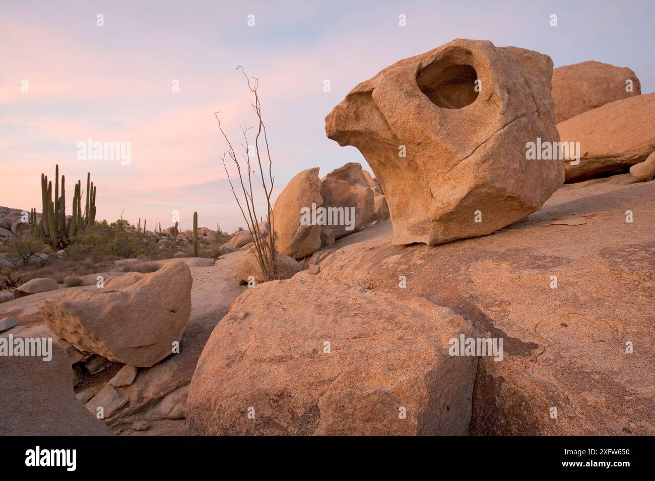 Granite rock formation and Sonoran Desert, Catavi, Valle de los Cirios ...