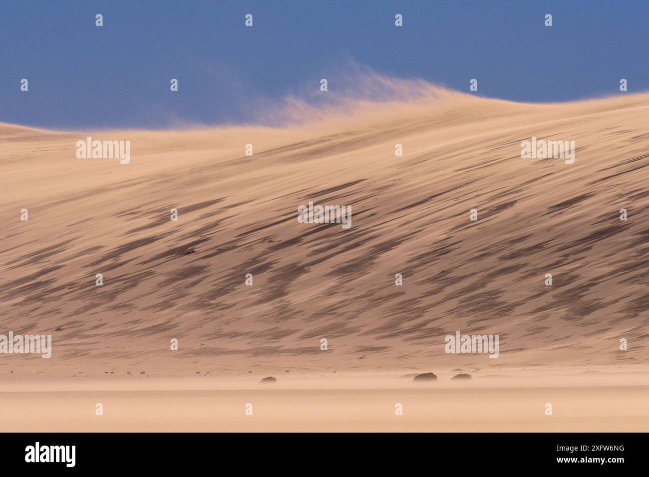 Namib desert coastal dunes blown by wind, Swakopmund, Namibia Stock ...