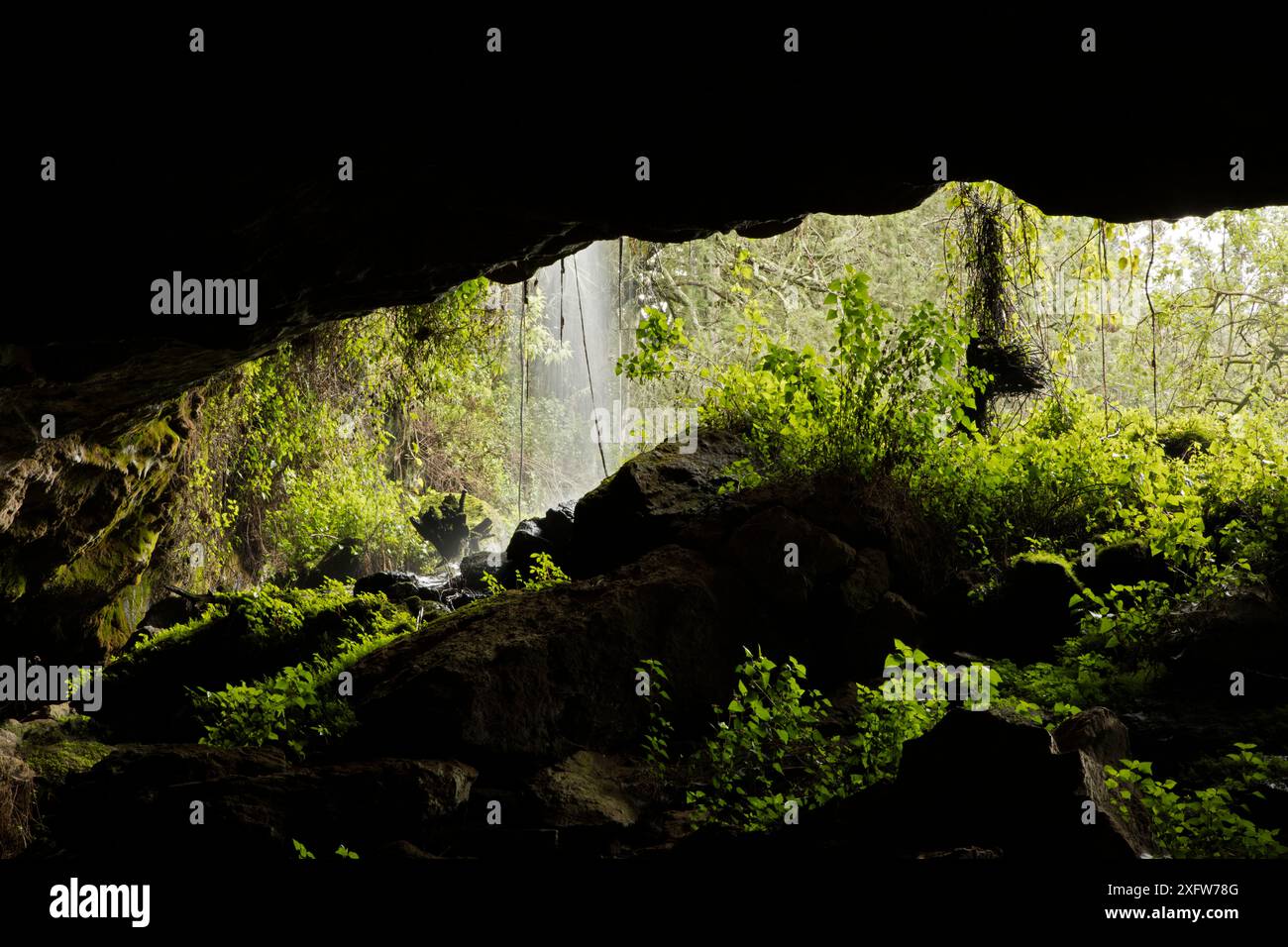 Kitum caves hi-res stock photography and images - Alamy