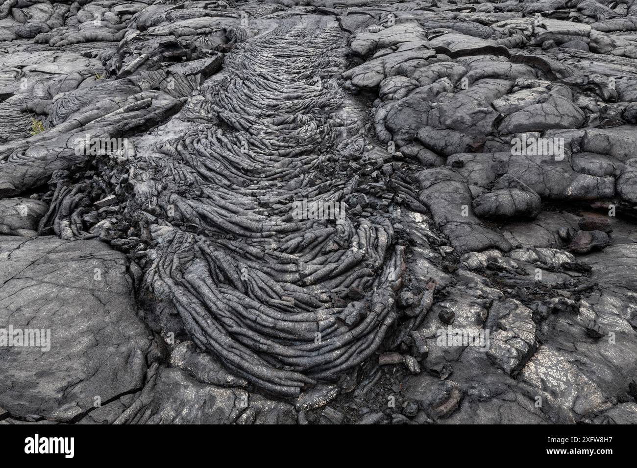 Ropy pahoehoe lava at Alanui Kahiko Lava Flow, Volcanoes National Park ...
