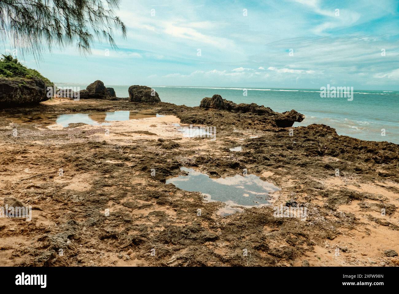 Corol rocks at the beach at Malindi Beach in Malindi Town in Kenya ...