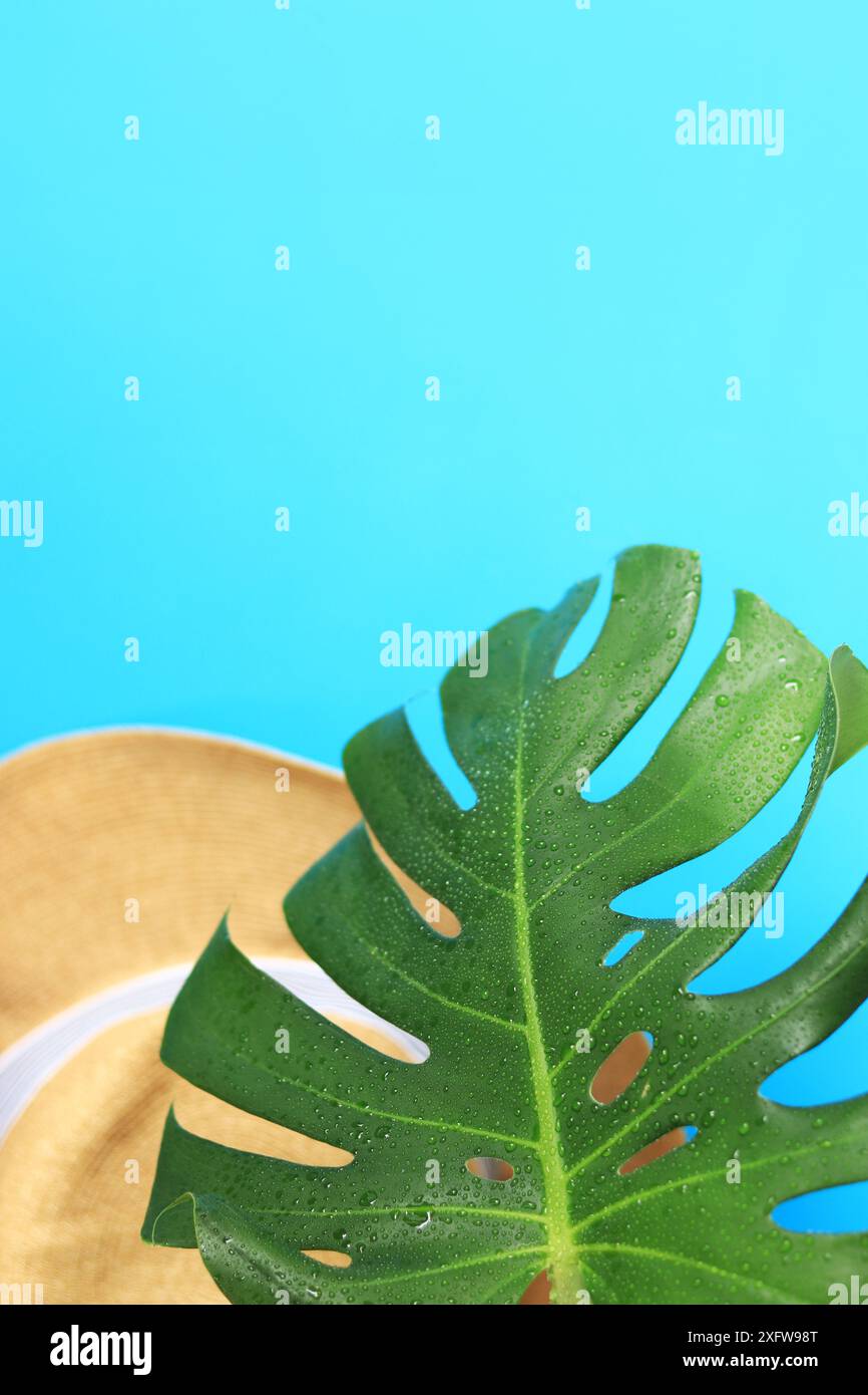 Monstera leaf and summer cap on a blue background. Summer background ...