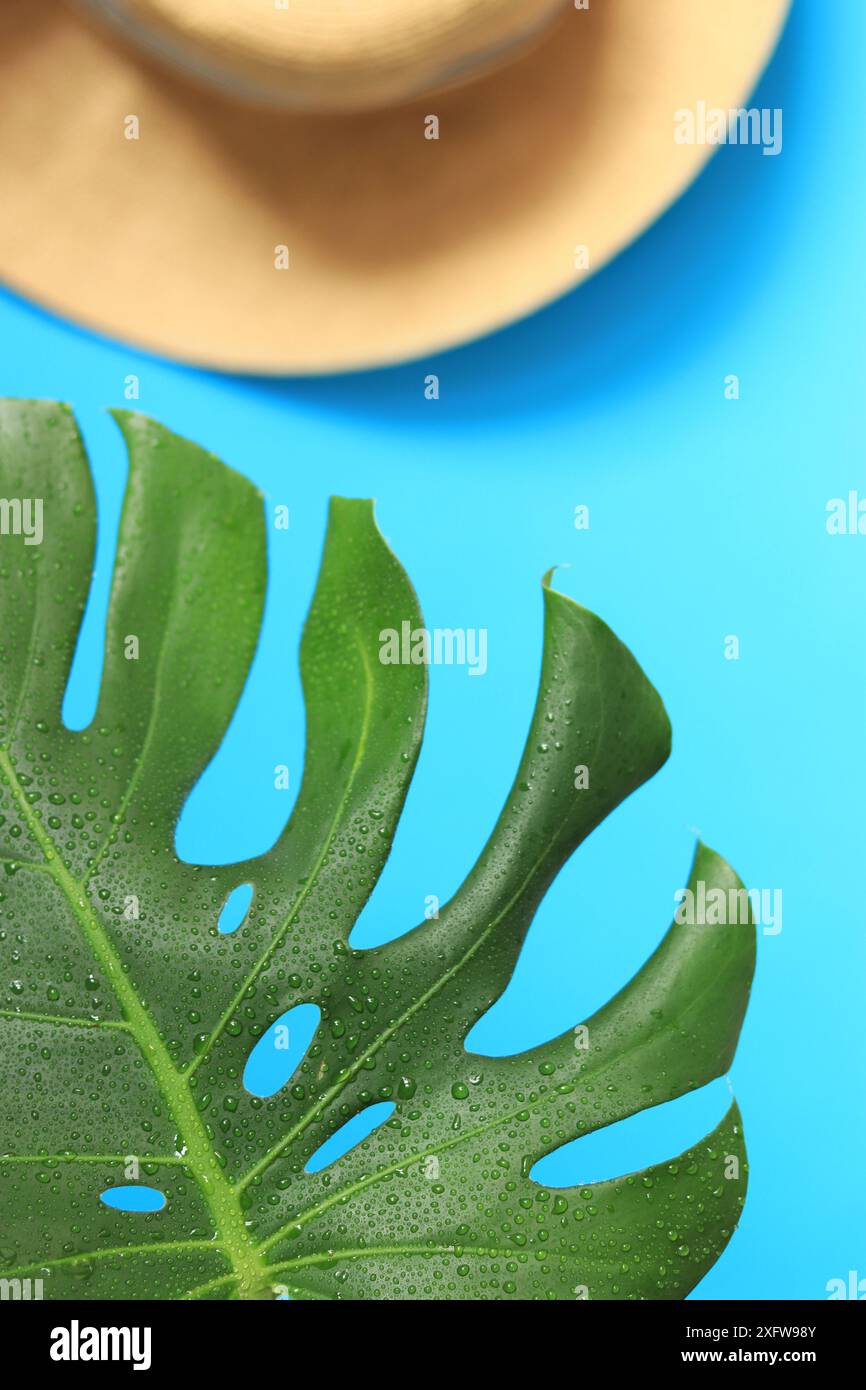 Monstera leaf and summer cap on a blue background. Summer background ...